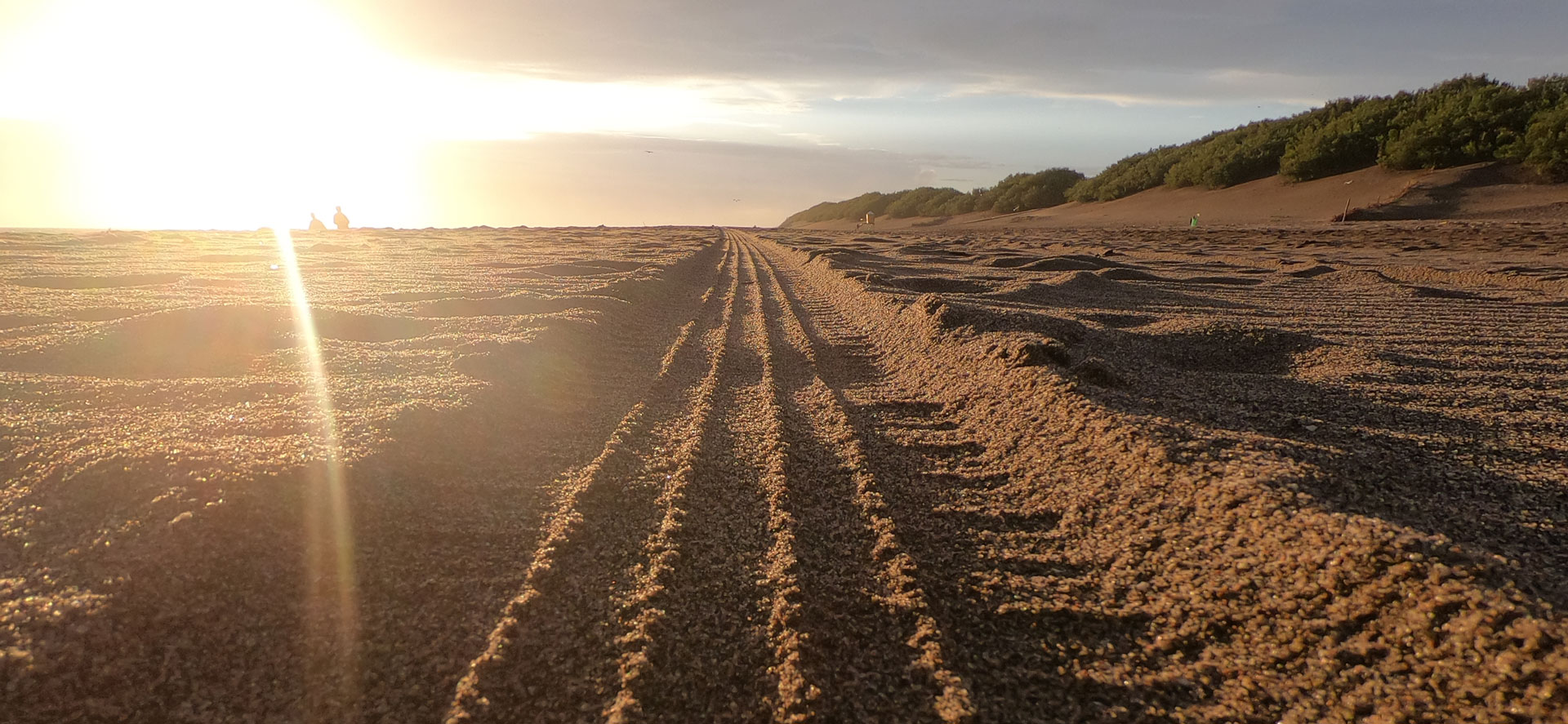 Excursiones Monte Hermoso - Huellas Milenarias
